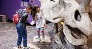 Book Your Visit - Discovery Science Place